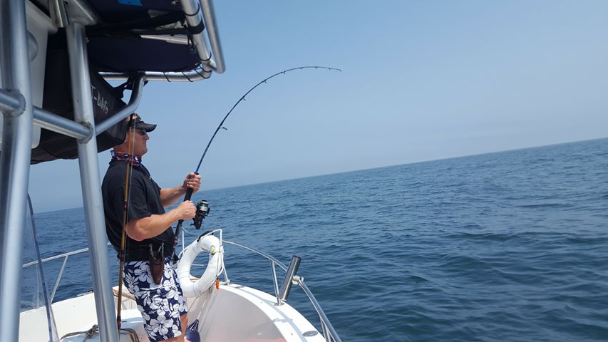 What Types of Sharks in Rhode Island Waters - Rhode Island Fishing Charters